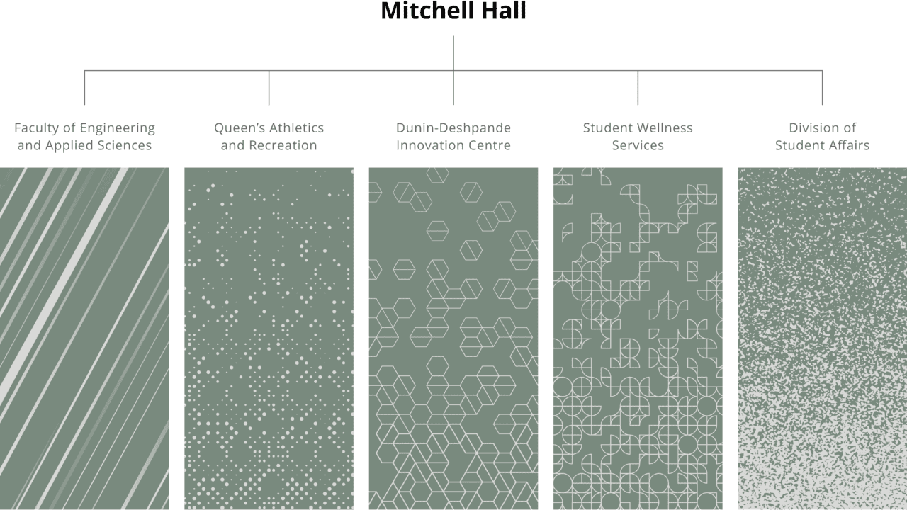 Mitchell Hall | KDA